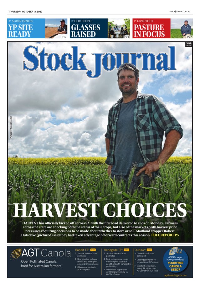 This Week's Paper | Stock Journal | SA