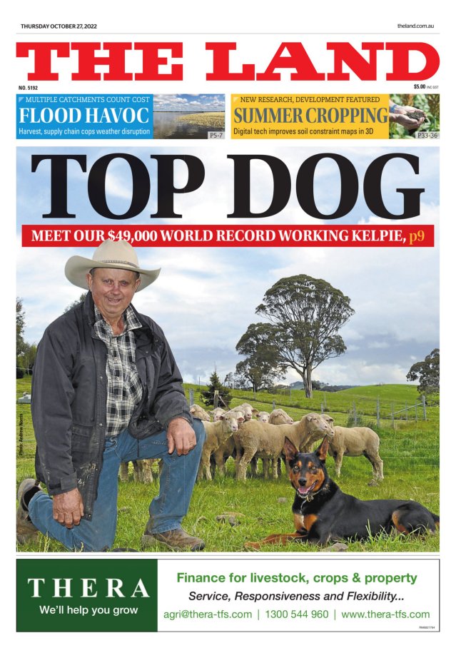 This Week's Paper | The Land | NSW