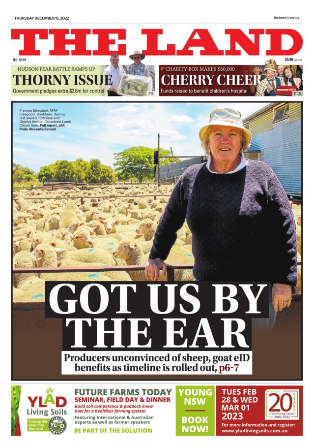 This Week's Paper | The Land | NSW