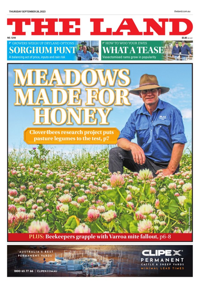 This Week's Paper | The Land | NSW