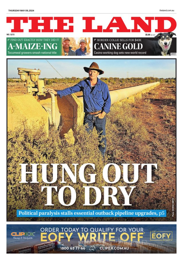 This Week's Paper | The Land | NSW
